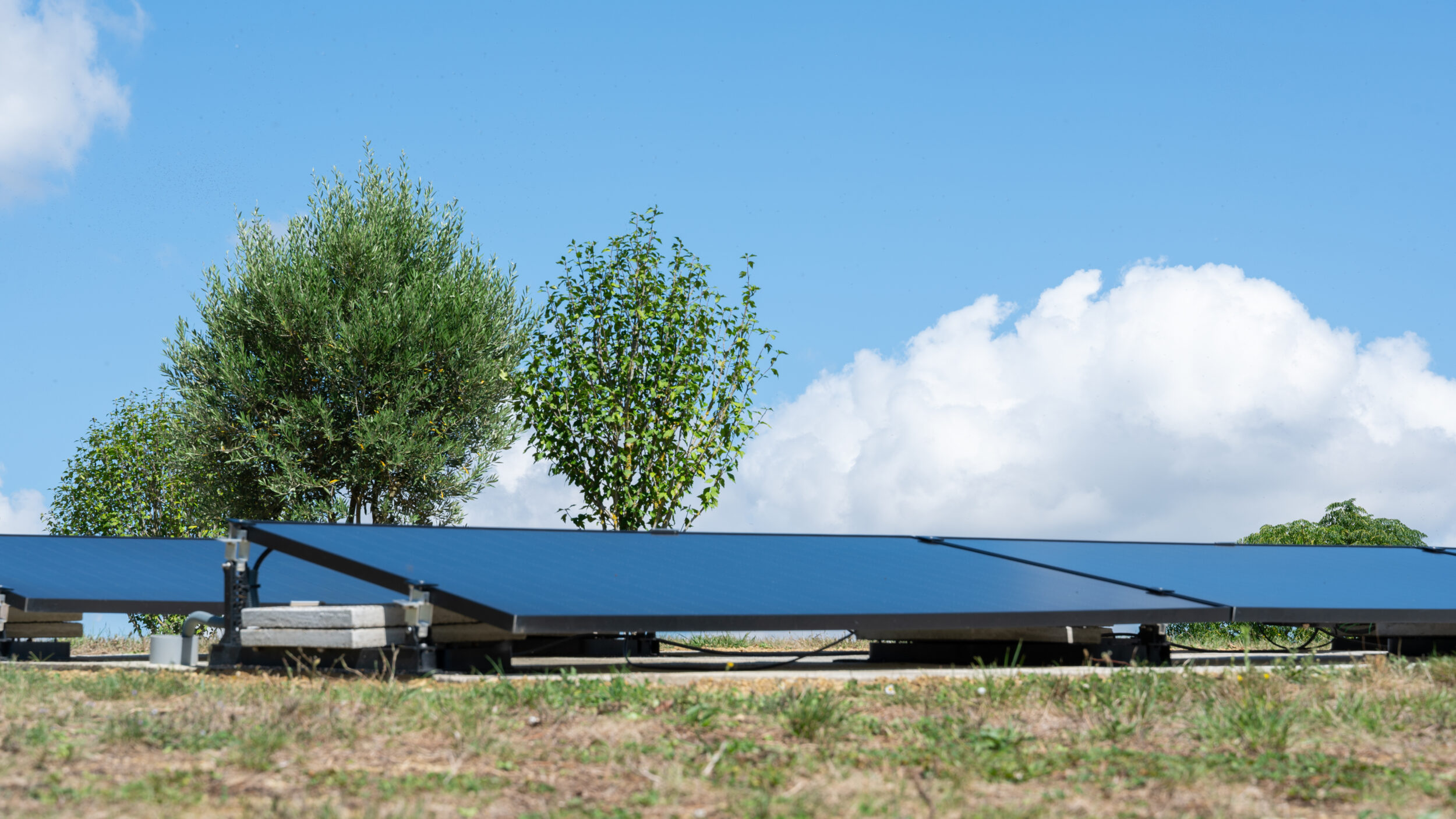 Installation de panneaux solaires au sol : le guide 2026